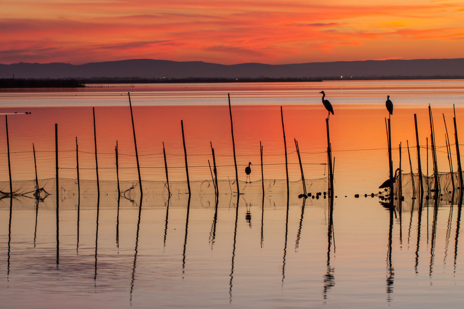 La Albufera de Valencia: un paraíso natural y cultural – Hoy Valencia
