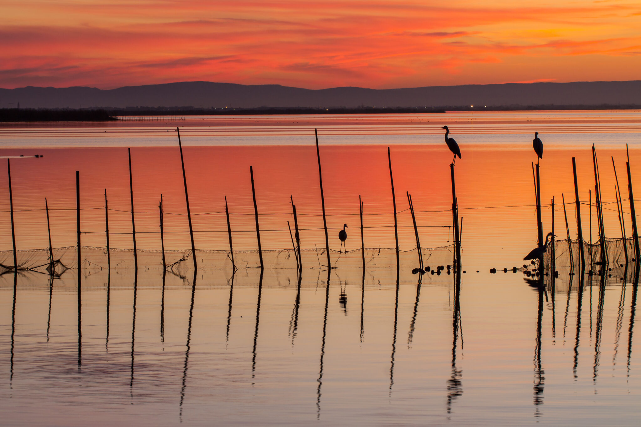 La Albufera de Valencia: un paraíso natural y cultural – Hoy Valencia